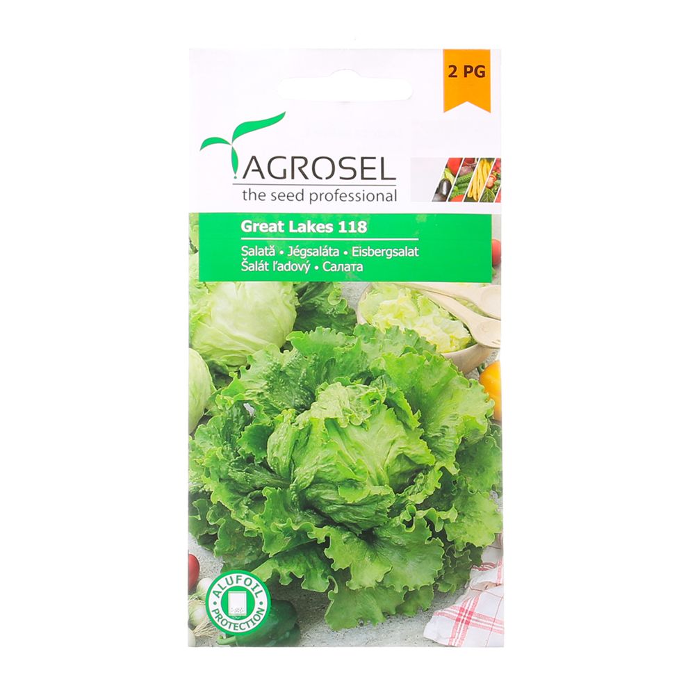 Seminte legume, salata creata Great Lakes, Agrosel