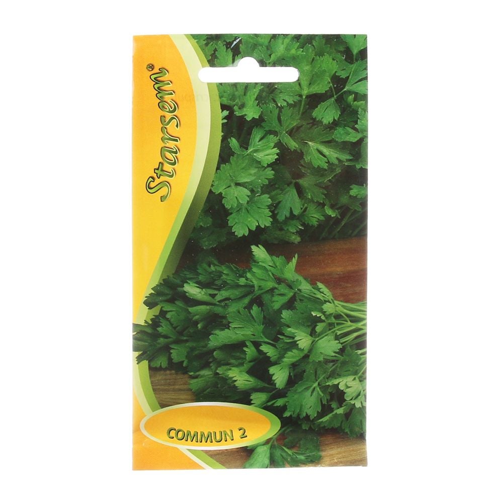 Seminte plante aromatice, patrunjel frunza, comun, Starsem
