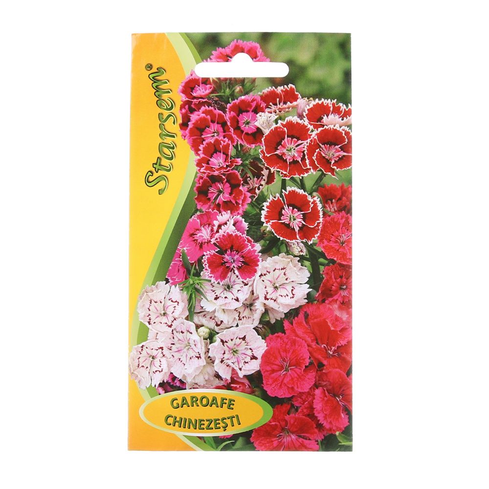 Seminte garoafe chinezesti, Starsem