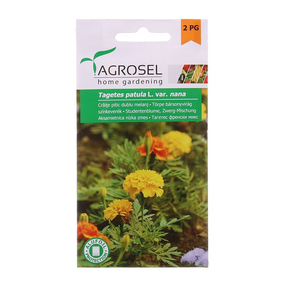 Seminte flori de primavara, craite pitice, amestec culori, Agrosel, 2 g