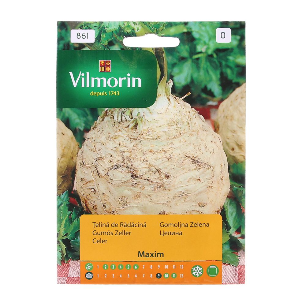 Seminte telina radacina Maxim Vilmorin 0.5g