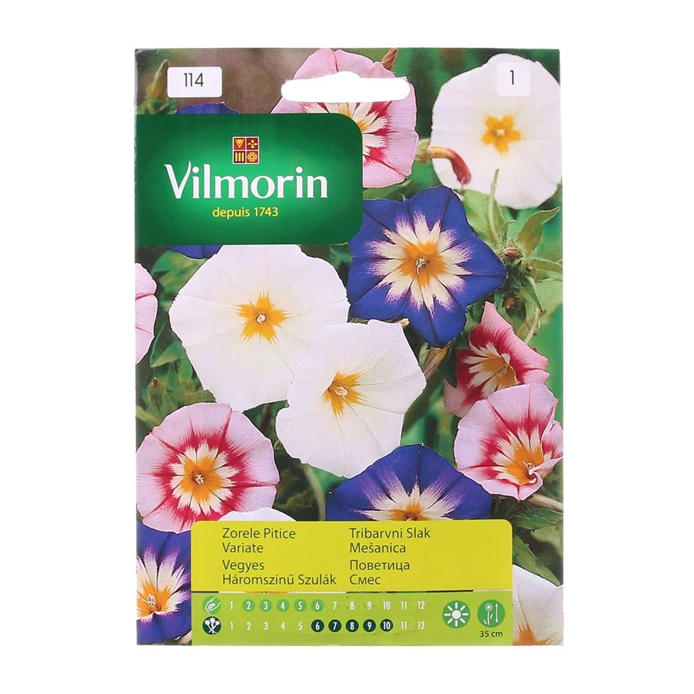 Seminte flori de primavara, zorele pitice, amestec culori, Vilmorin, 2 g