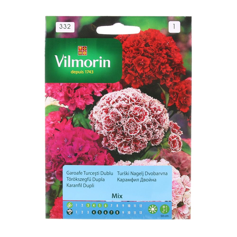 Seminte flori de primavara, garoafe turcesti, amestec culori, Vilmorin ...