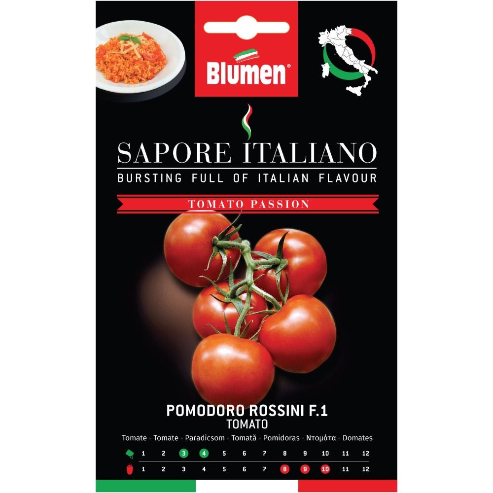 Seminte legume, rosii Rossini F1, Blumen