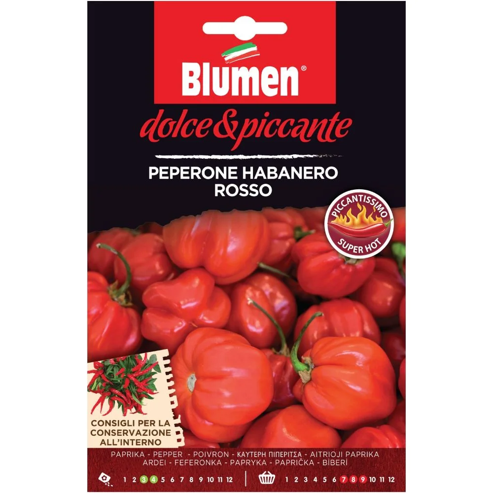 Seminte legume, ardei iute Habanero Rosso, Blumen