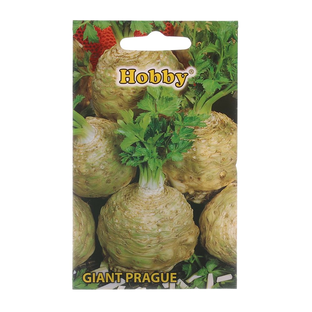 Seminte legume, telina radacina Giant Prague, Hobby