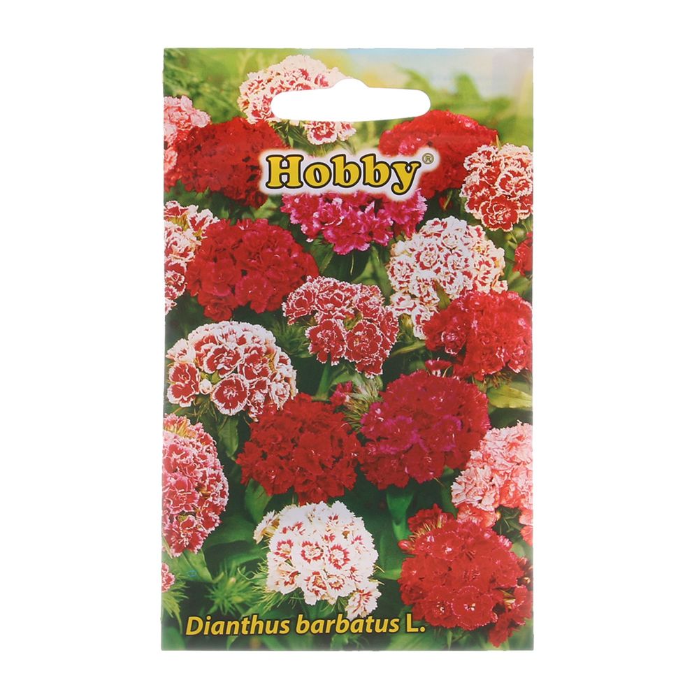 Seminte flori de primavara, garofite de gradina, amestec culori, Hobby ...