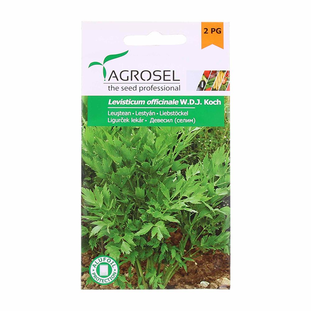Seminte plante aromatice, leustean, Agrosel