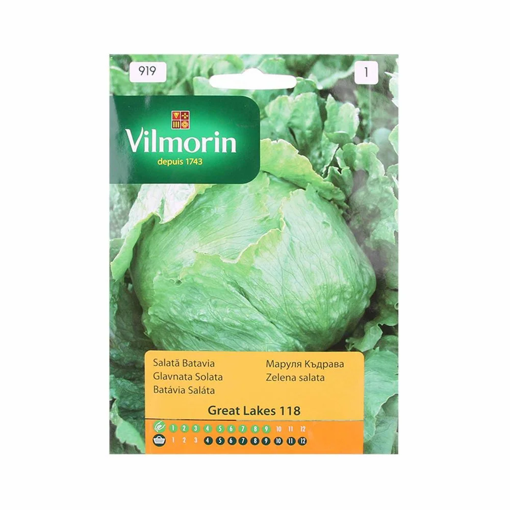 Seminte legume, salata Batavia, Vilmorin, 1 g