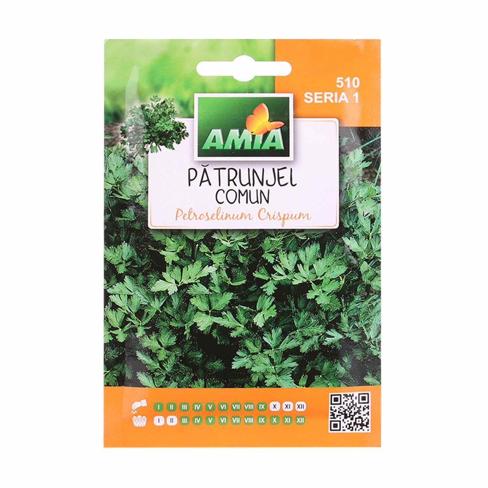 Seminte plante aromatice, patrunjel frunza, comun, Amia