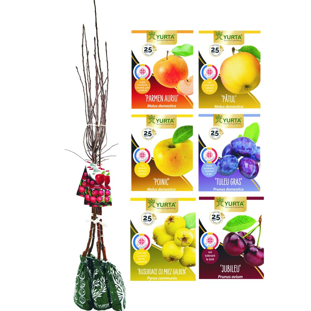 Pomi fructiferi soiuri romanesti, diverse soiuri