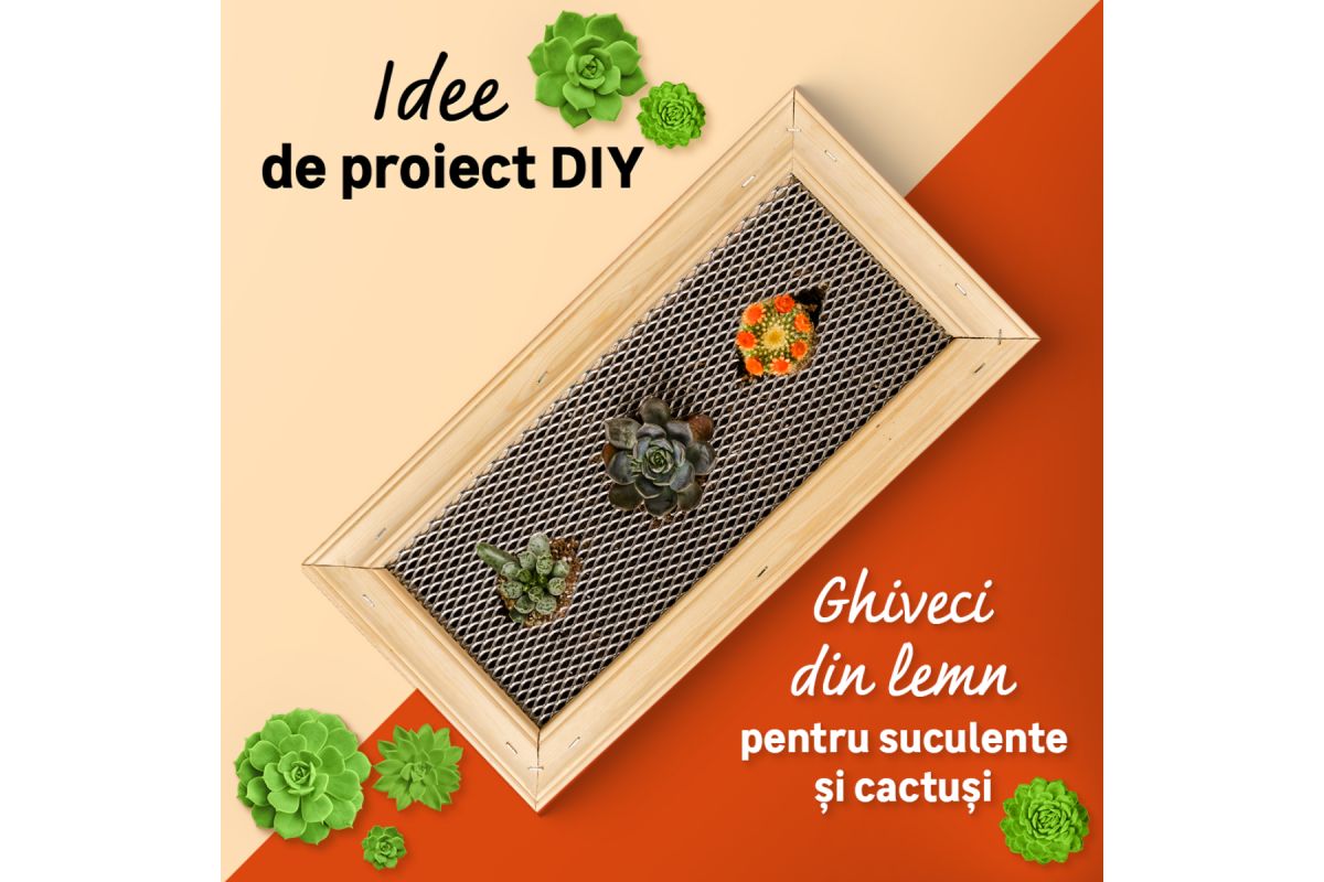 Idee de proiect DIY - Ghiveci din lemn, pentru suculente si cactusi