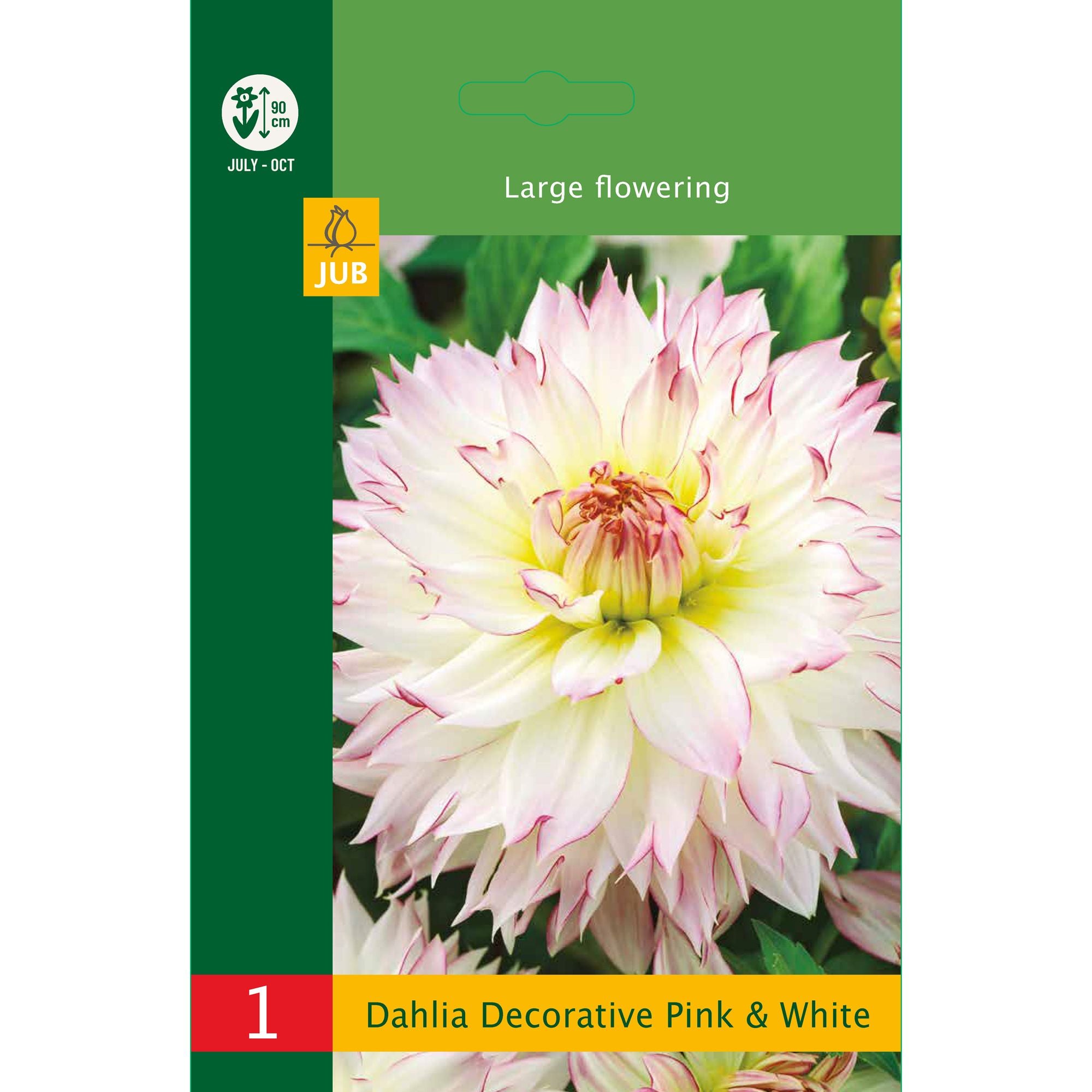 Bulbi dalia decor roz/alb