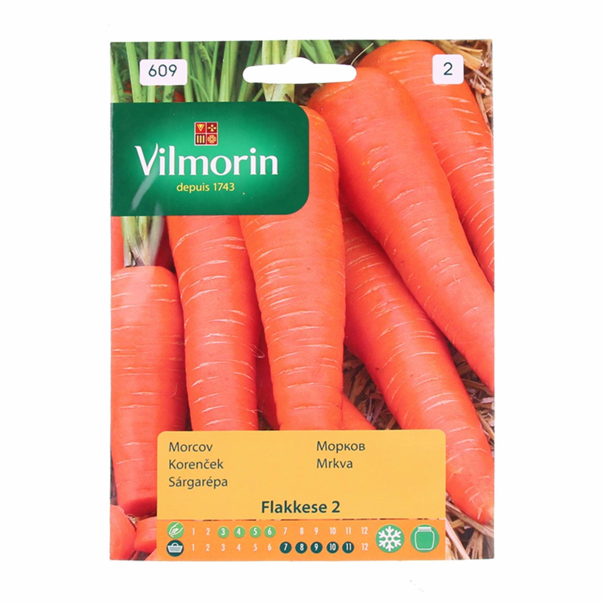 Seminte legume, morcov Flakkese 2, Vilmorin