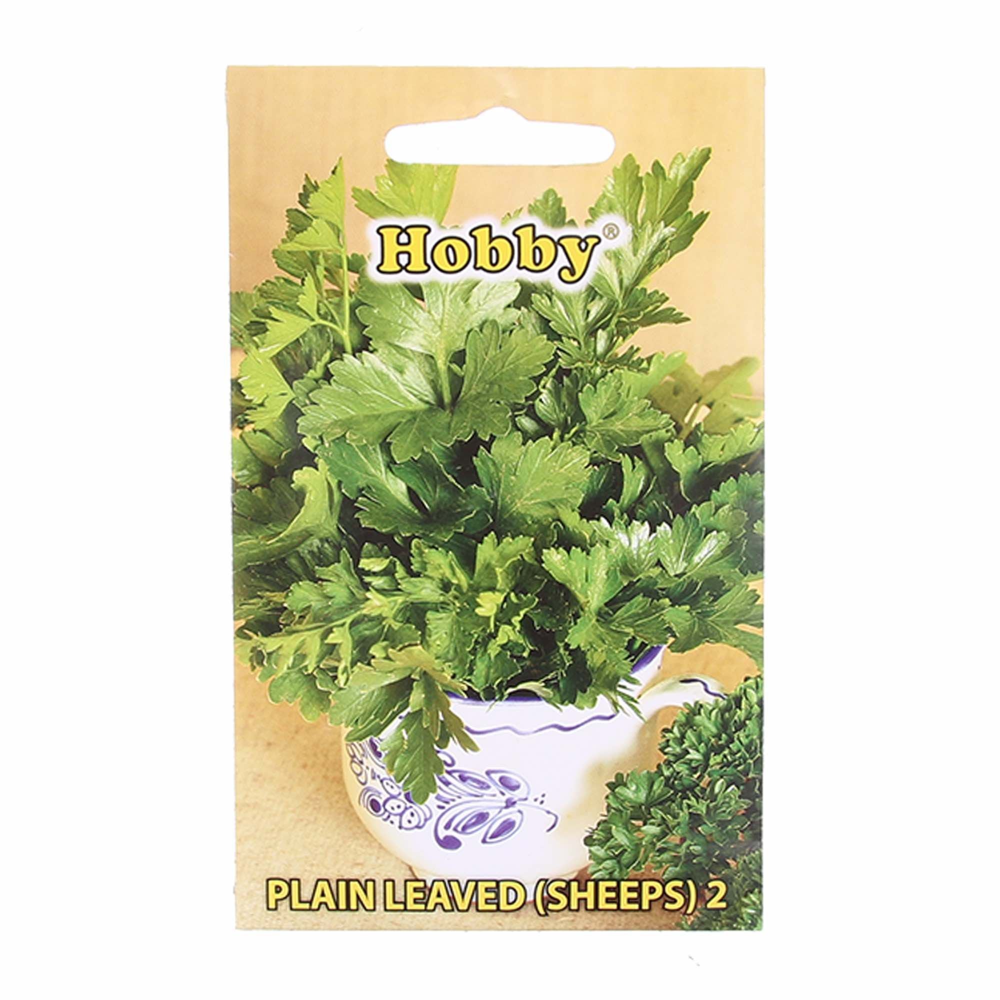 Seminte plante aromatice, patrunjel frunza Sheeps, Hobby