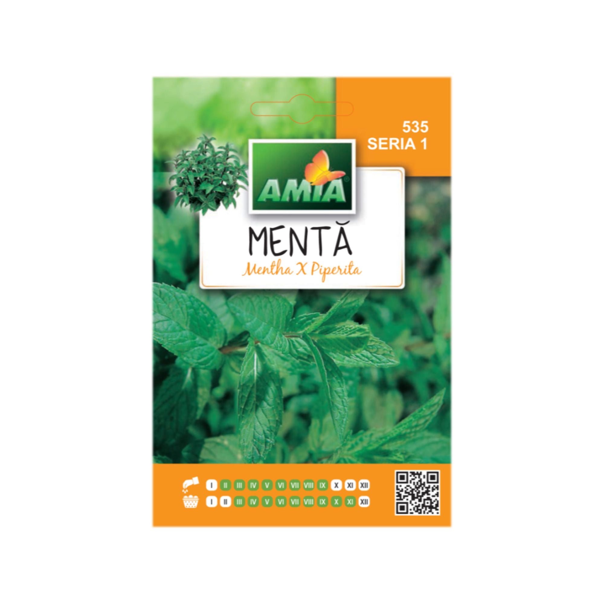 Seminte plante aromatice, menta, Amia