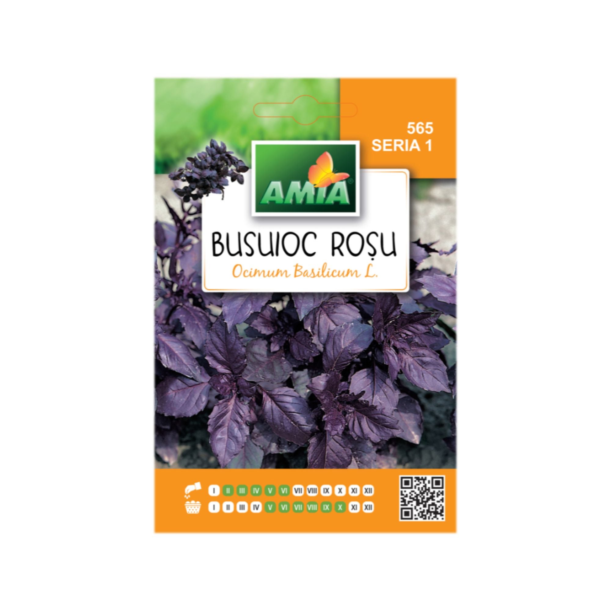 Seminte plante aromatice, busuioc rosu, Amia