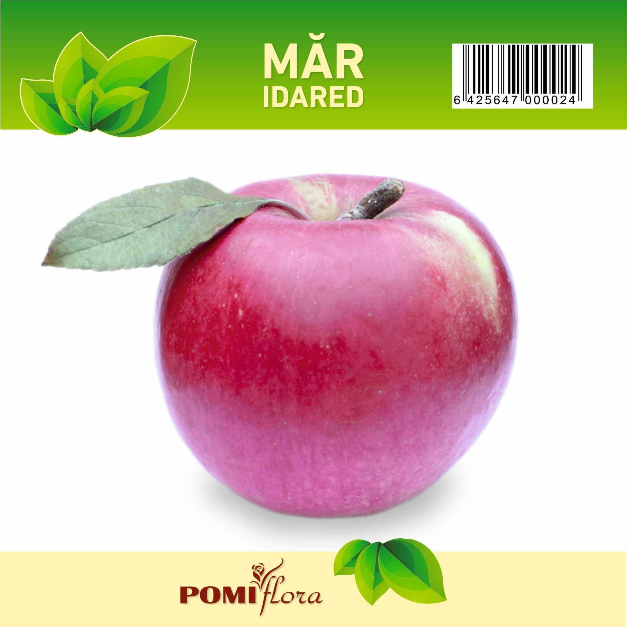 Pom fructifer mar Promo, H 81-120 cm, diverse sortimente