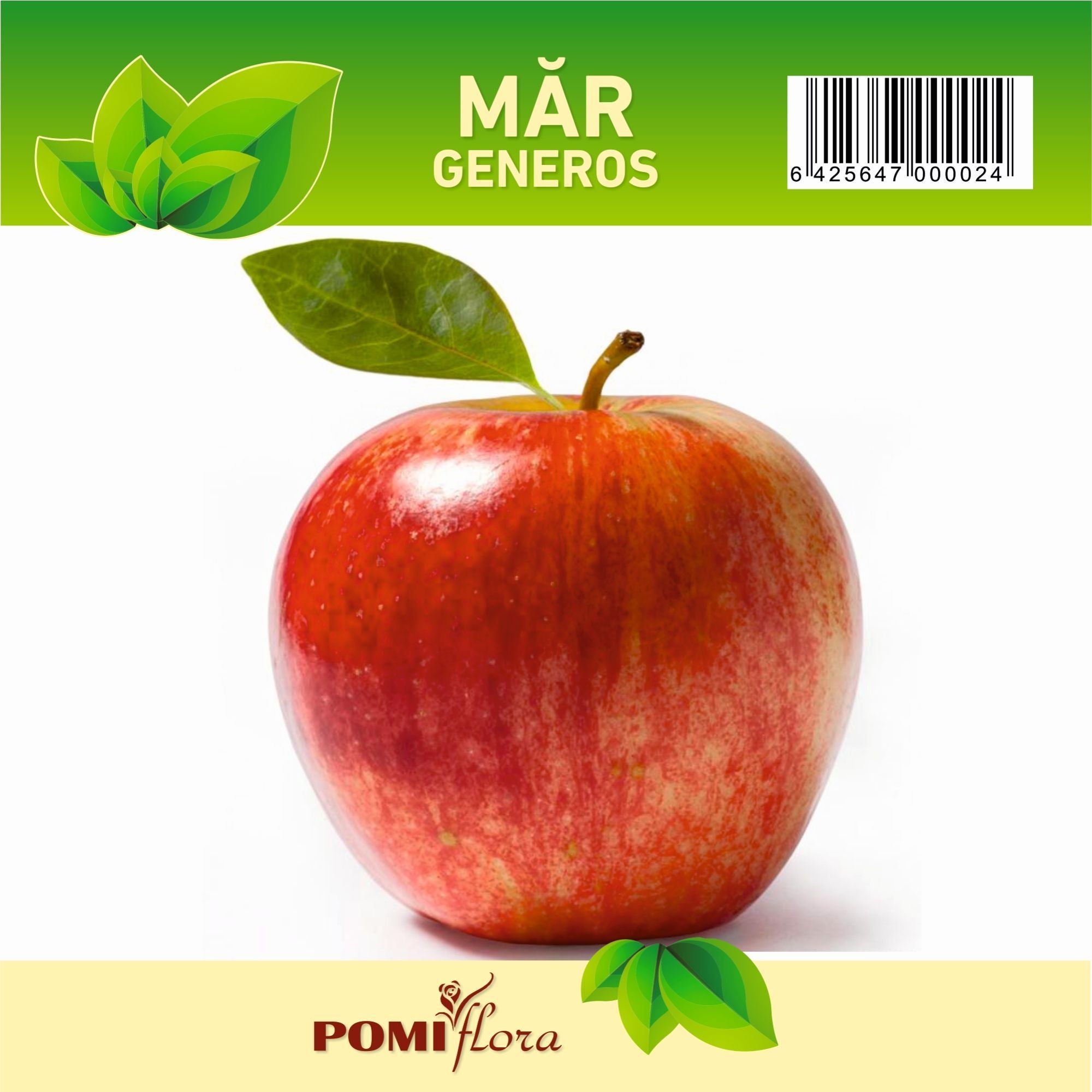 Pom fructifer mar Promo, H 81-120 cm, diverse sortimente