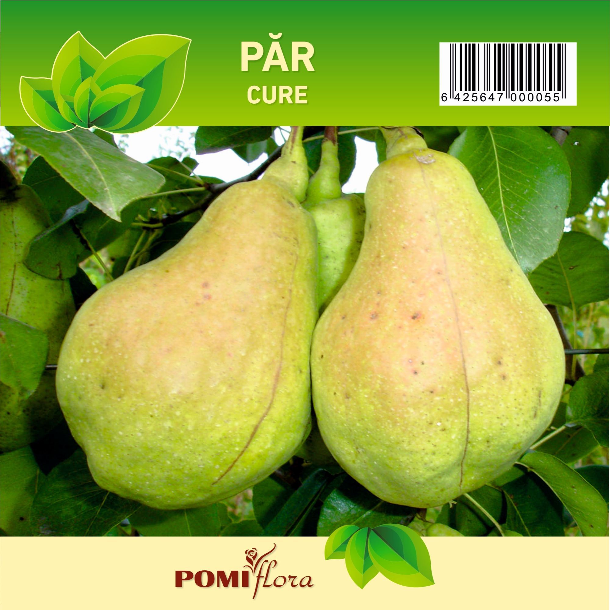 Pom fructifer par Promo, H 81-120 cm, diverse sortimente