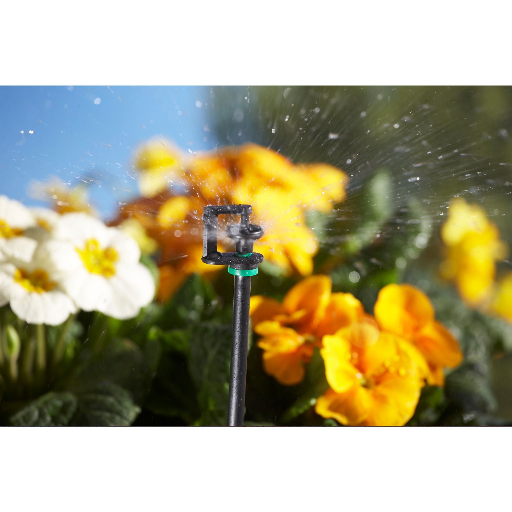 Microaspersor sprinkler Geolia, polipropilena, 360°, 35 l/h