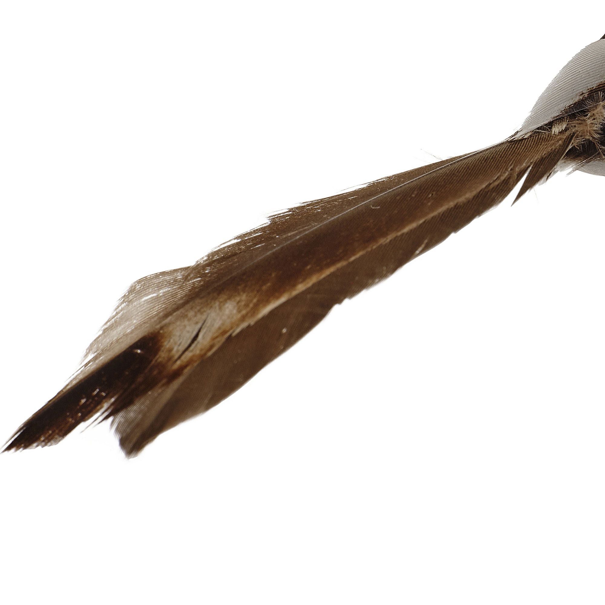 Decoratiune Craciun, pentru brad, model pasare, cu clips si pene, spuma ...