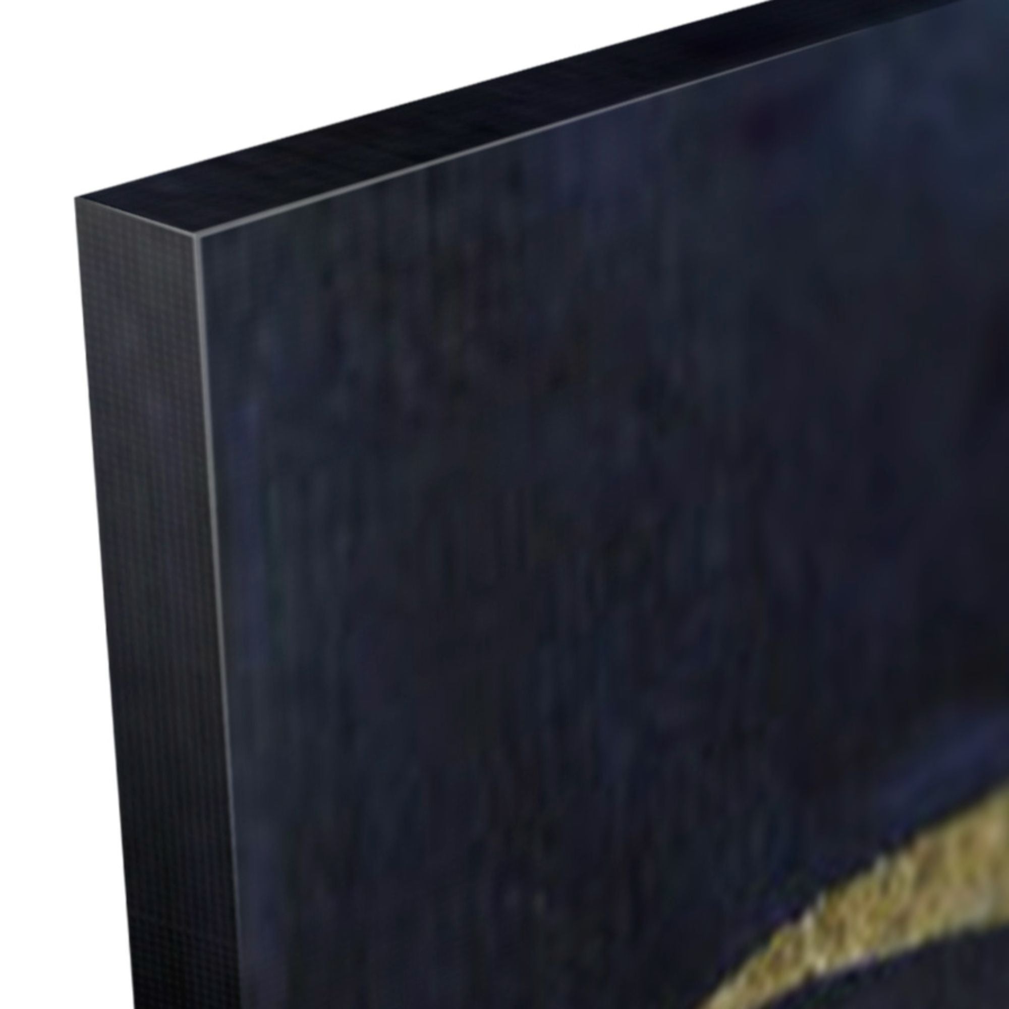 Tablou canvas Cocostarc II, 30 x 70 cm