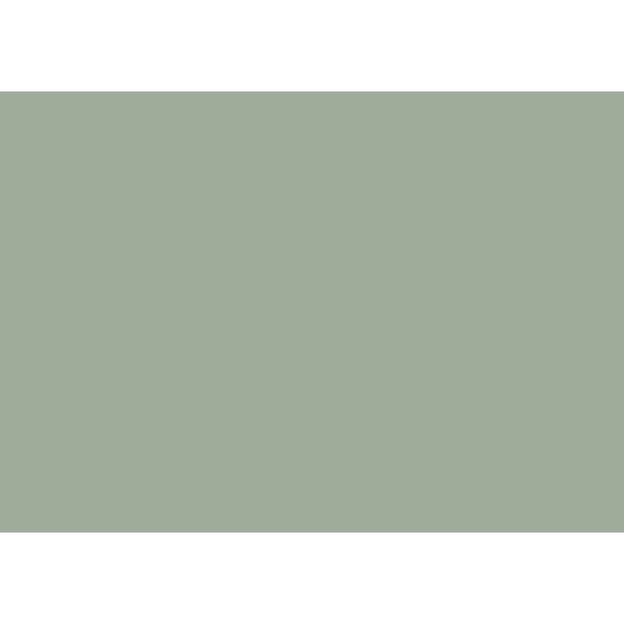 Sage Green Color Codes The Hex RGB And CMYK Values That You Need Vlr