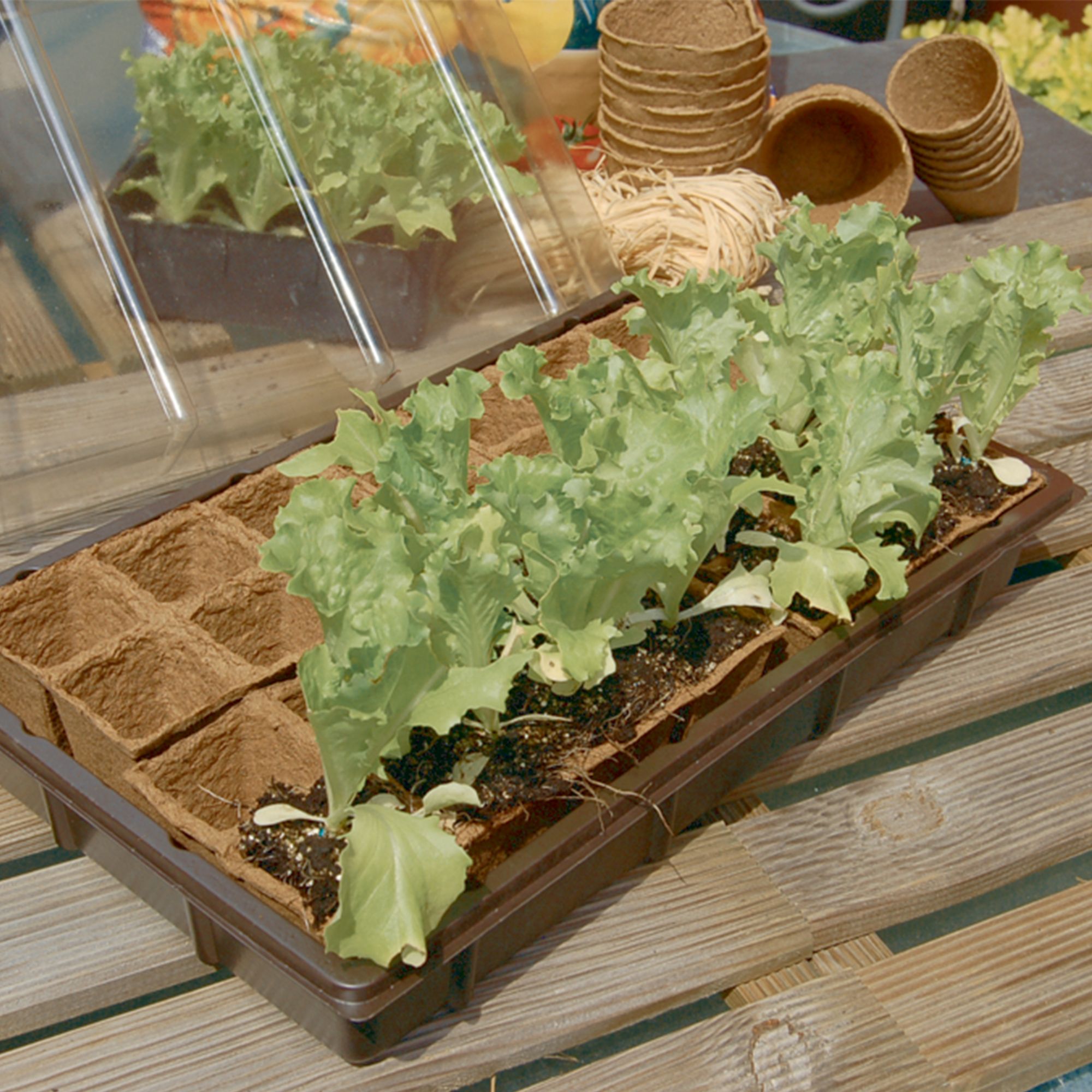 Mini sera rasaduri Nortene, cu 28 celule, plastic, 38 x 23 cm