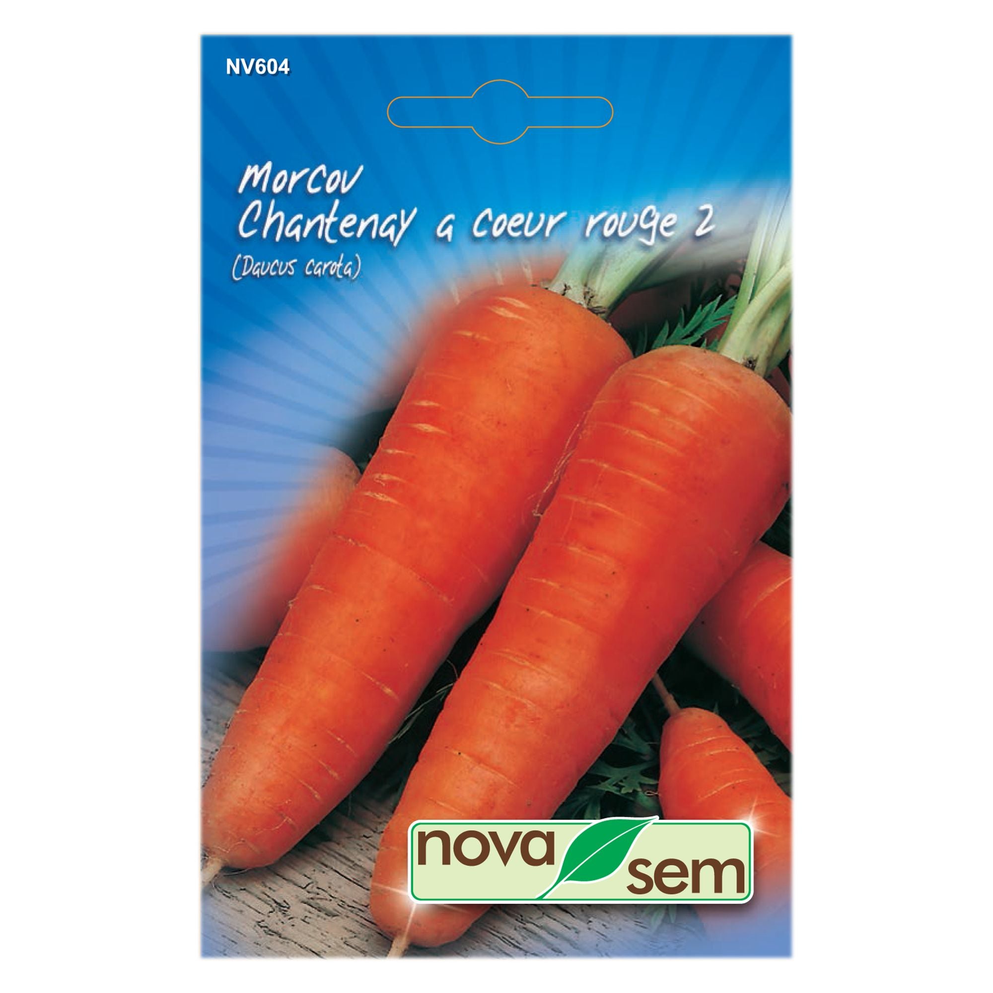 Seminte legume, morcov Chantenay, Novasem