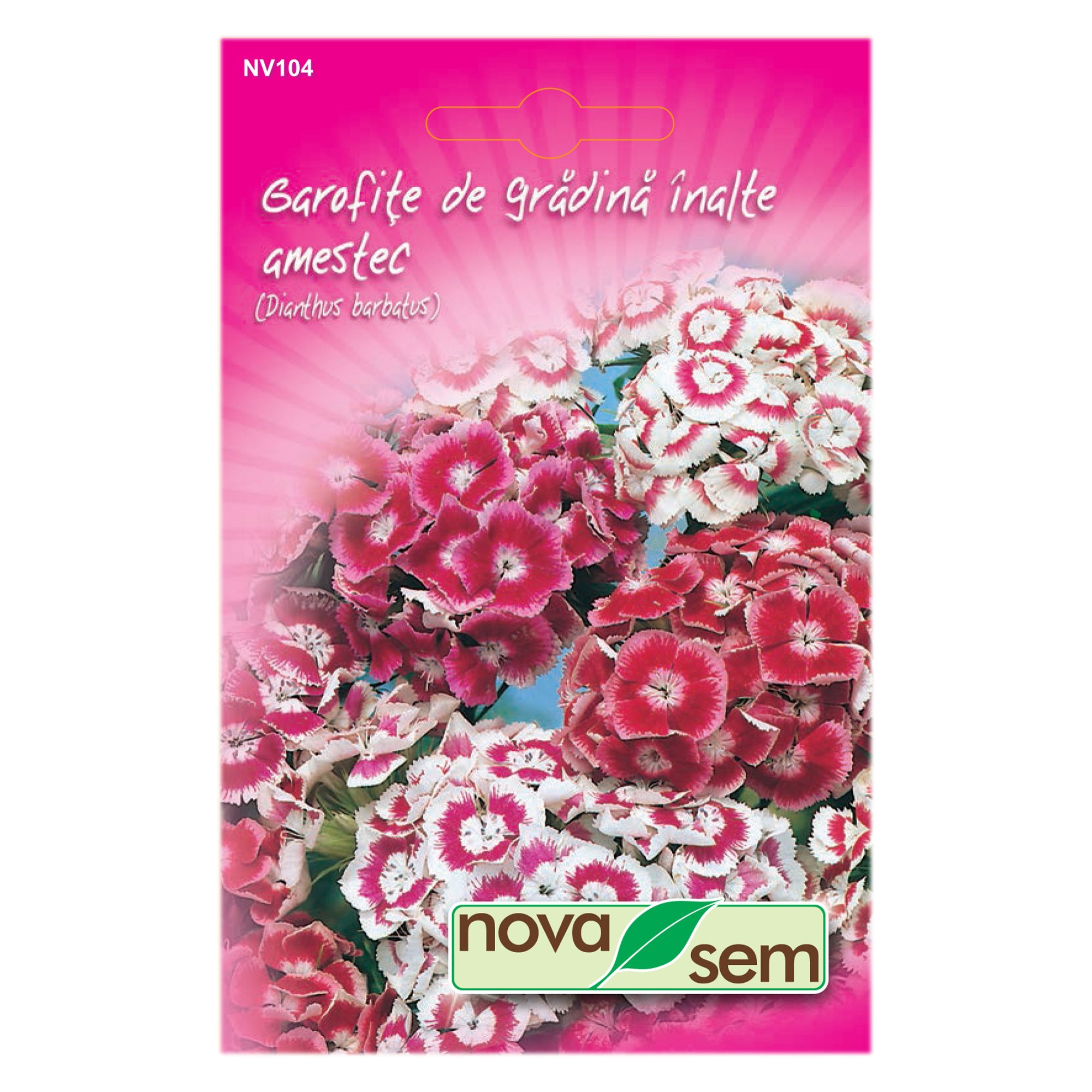 Seminte flori de primavara, Garofite de gradina, amestec culori, Novasem
