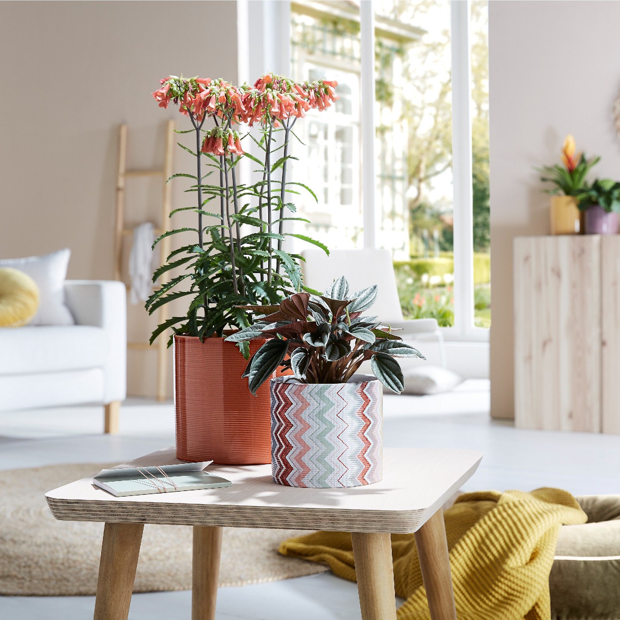 Ghiveci flori Aubergine, ceramica, Ø 14 cm, maro