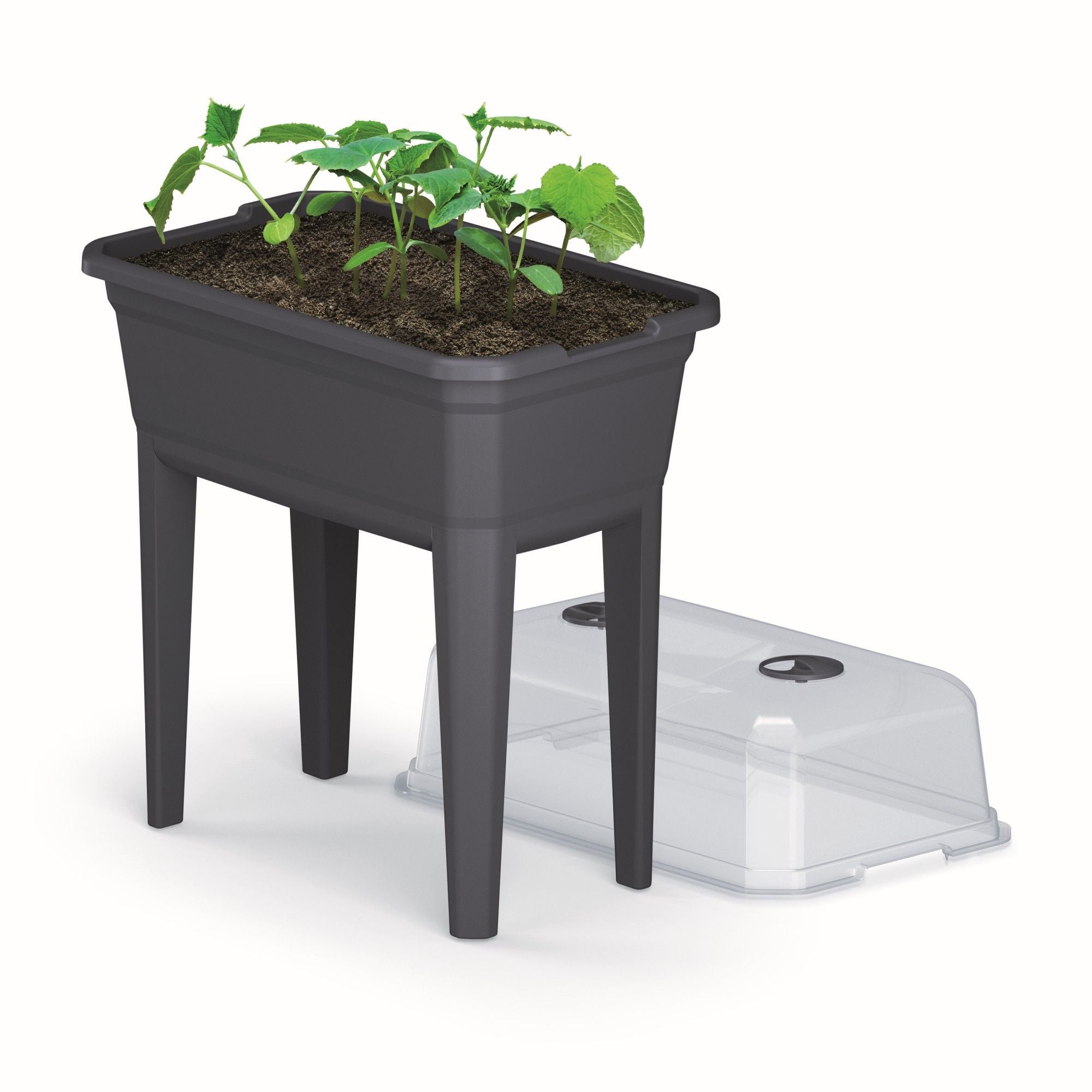 Mini sera, polipropilena, 24 x 59 cm