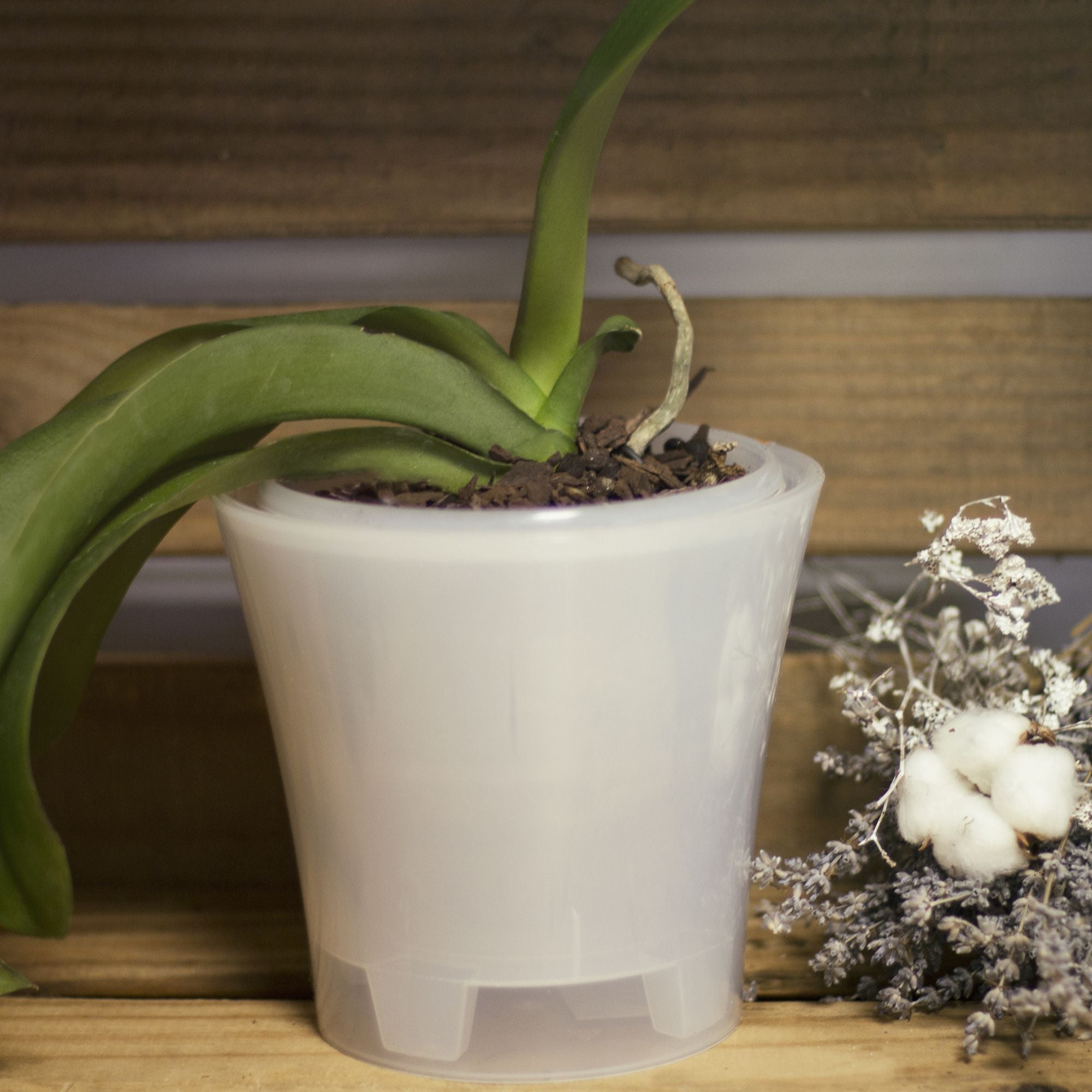 Ghiveci orhidee Arte, plastic, Ø 14 cm, transparent