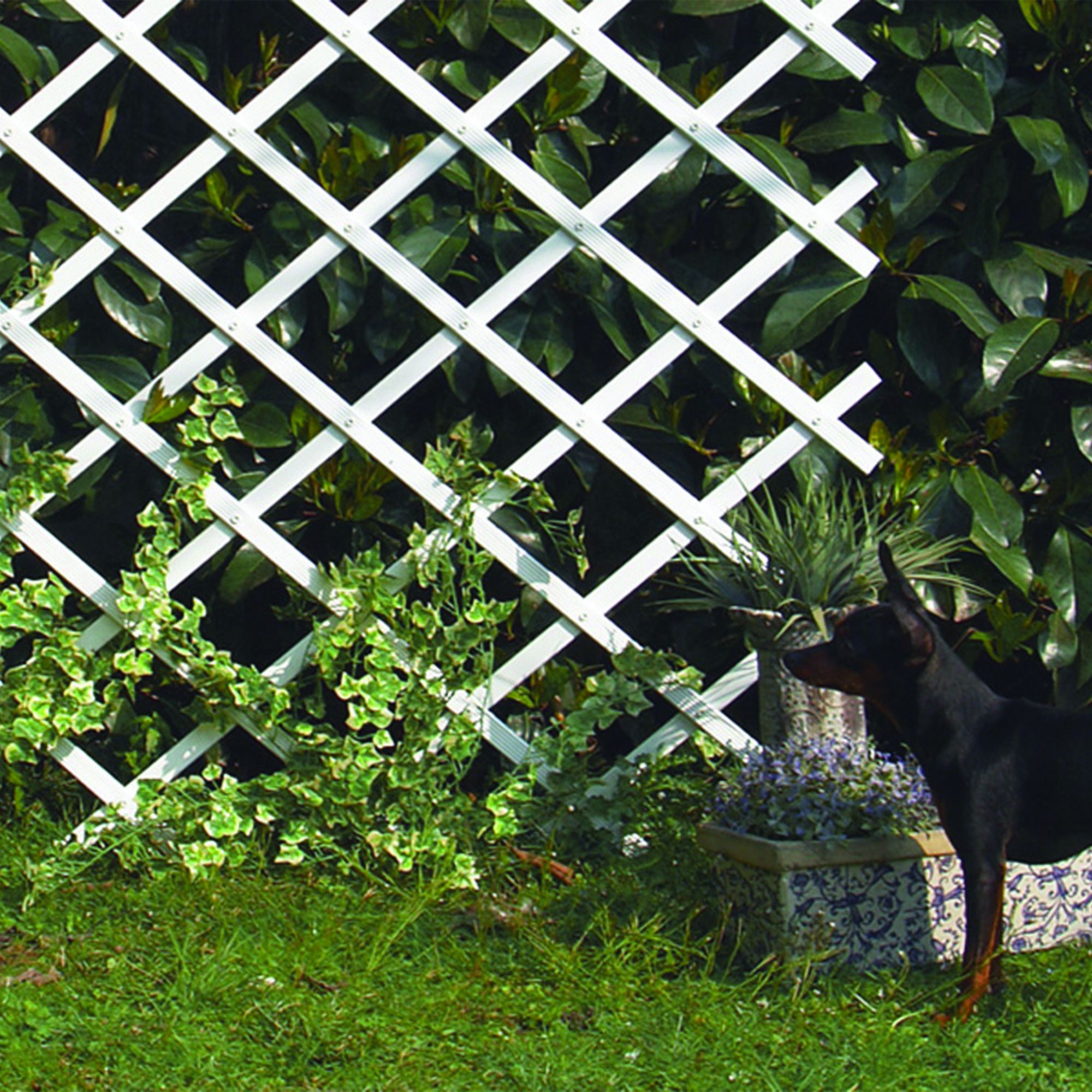 Spalier, plastic, 50 x 150 cm, alb