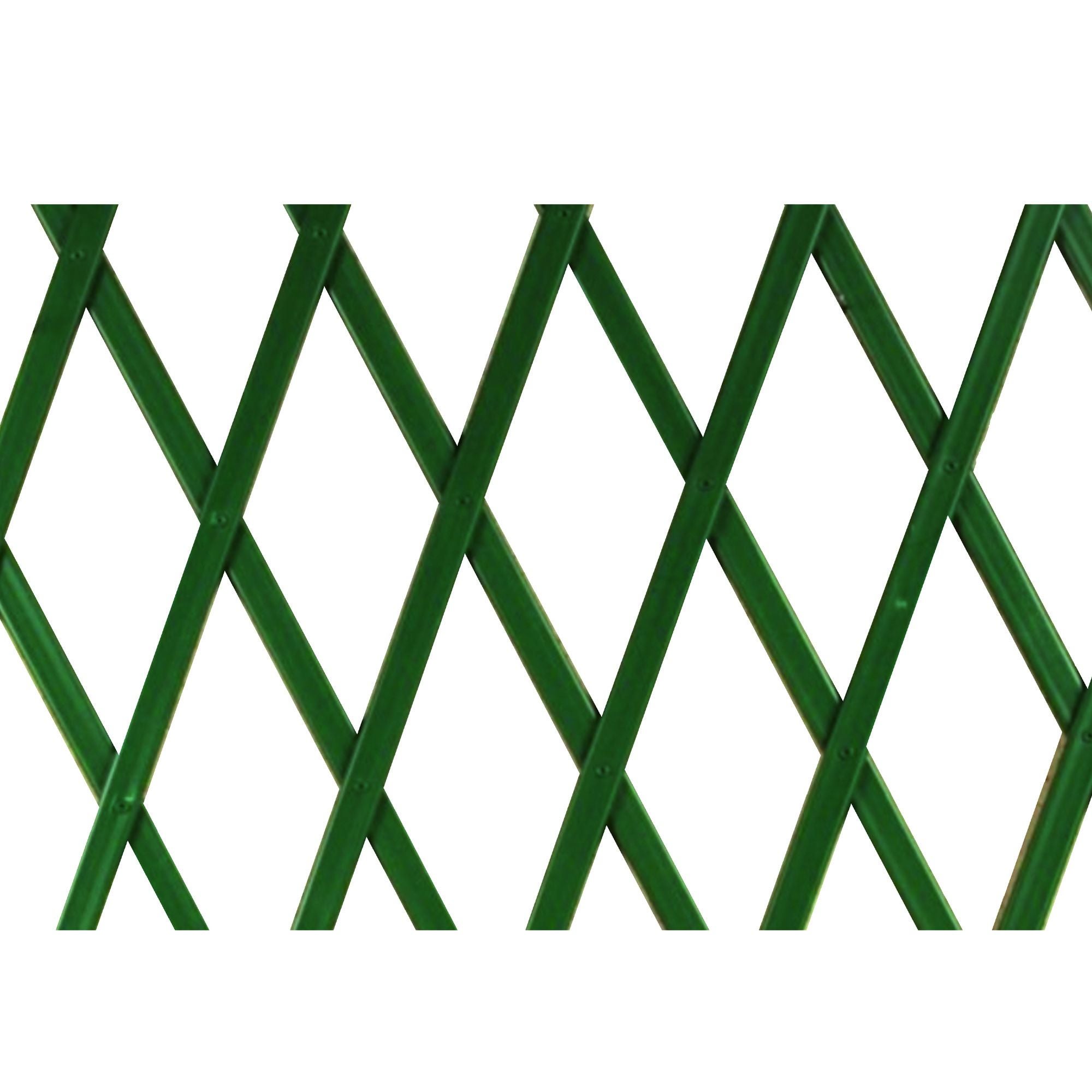 Spalier, plastic, 50 x 150 cm, verde