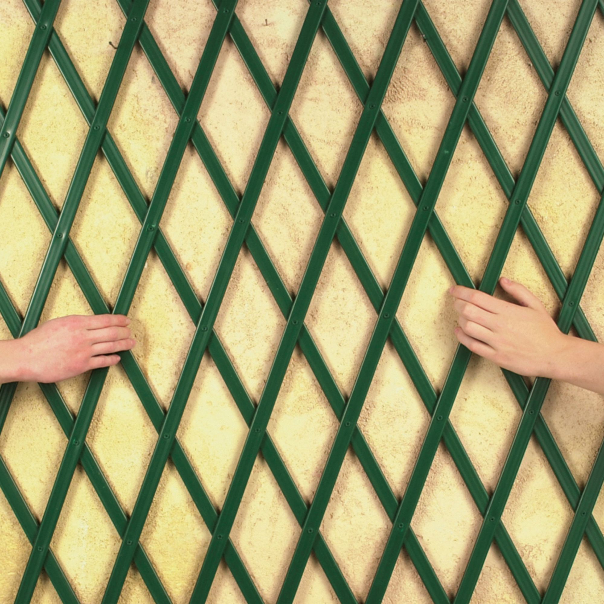 Spalier, plastic, 50 x 150 cm, verde