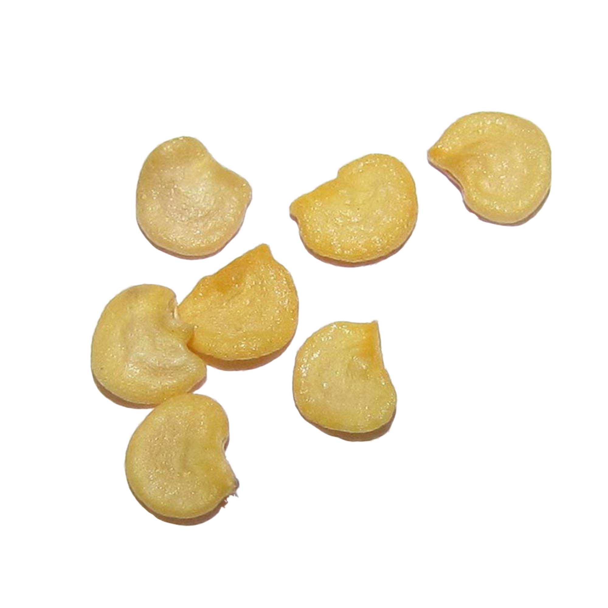 Seminte legume, ardei iute Habanero Bianco, Blumen