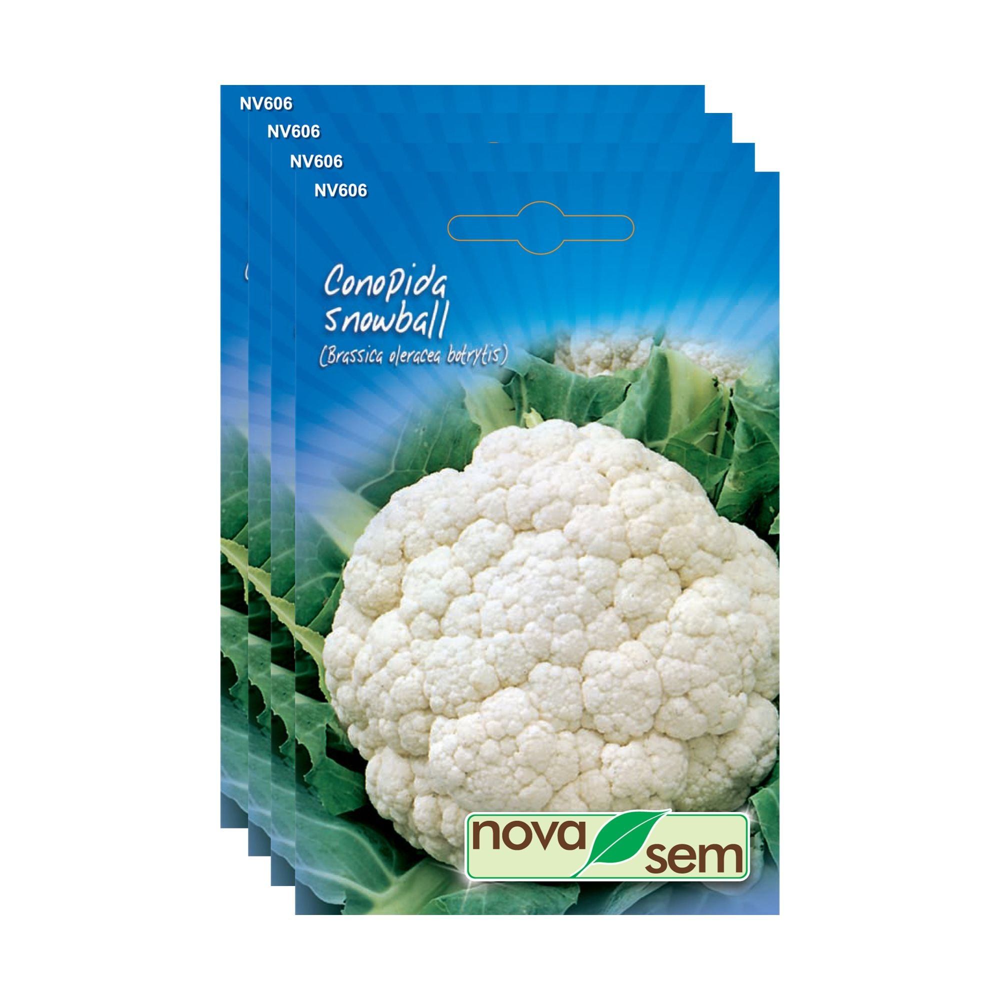 Seminte legume, conopida Snowball, Novasem