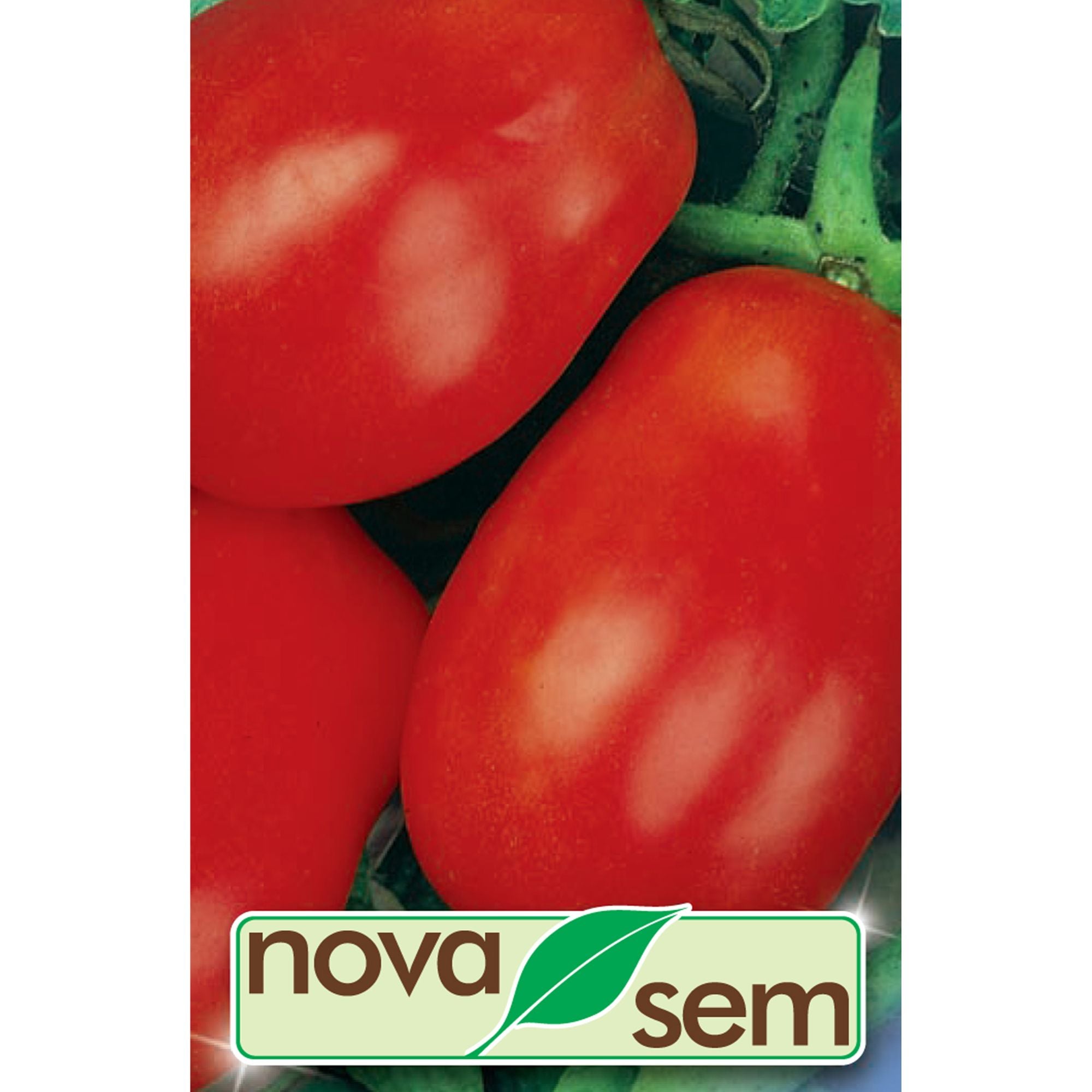 Seminte legume, rosii Rio Grande, Novasem