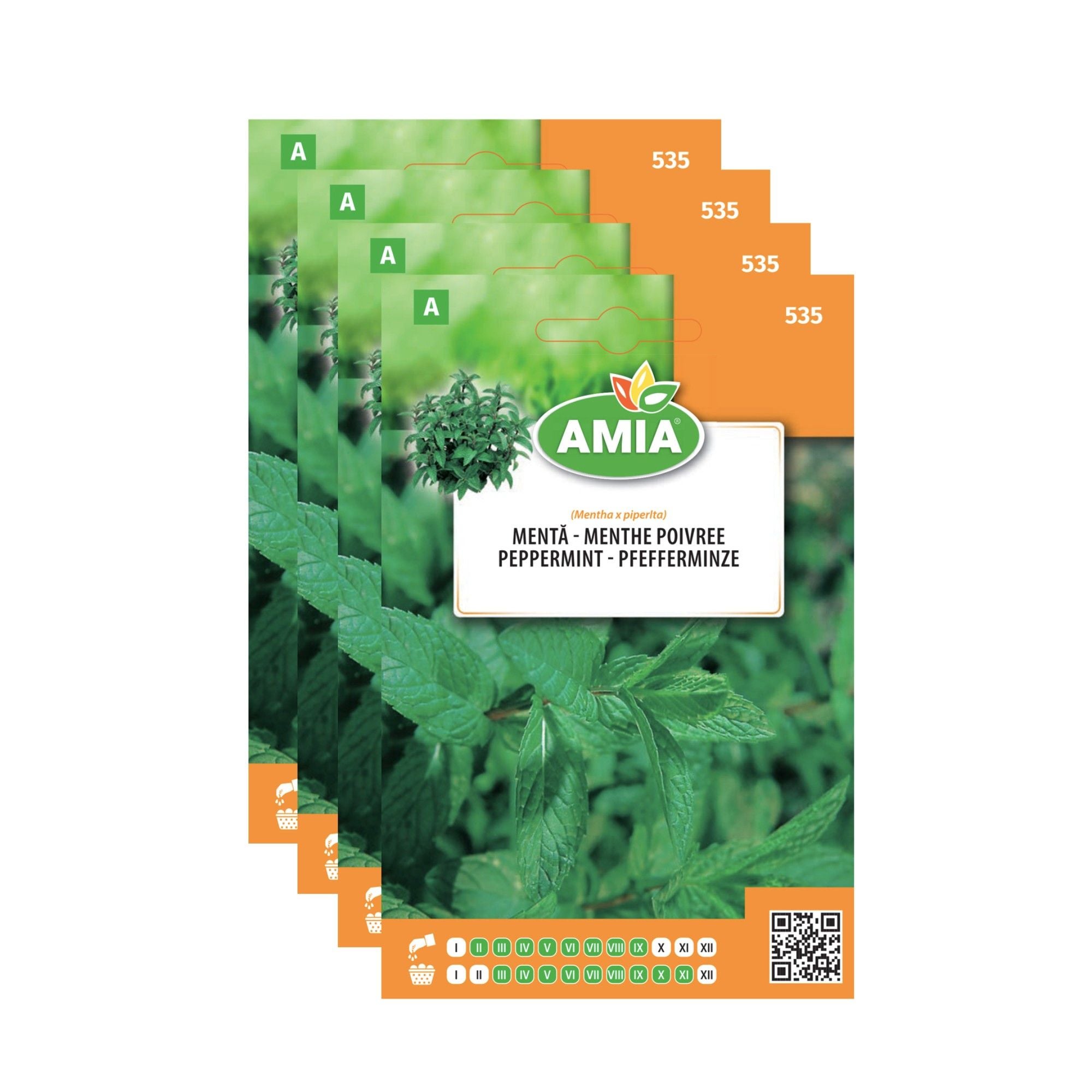 Seminte plante aromatice, menta, Amia