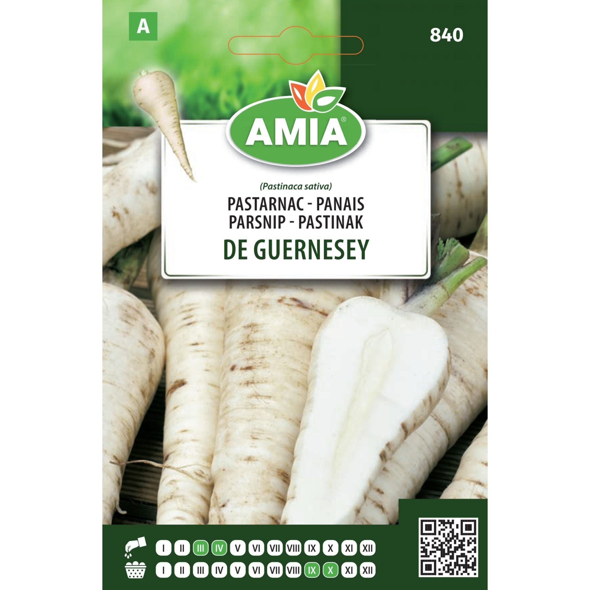 Seminte legume, pastarnac de Guernesey, Amia