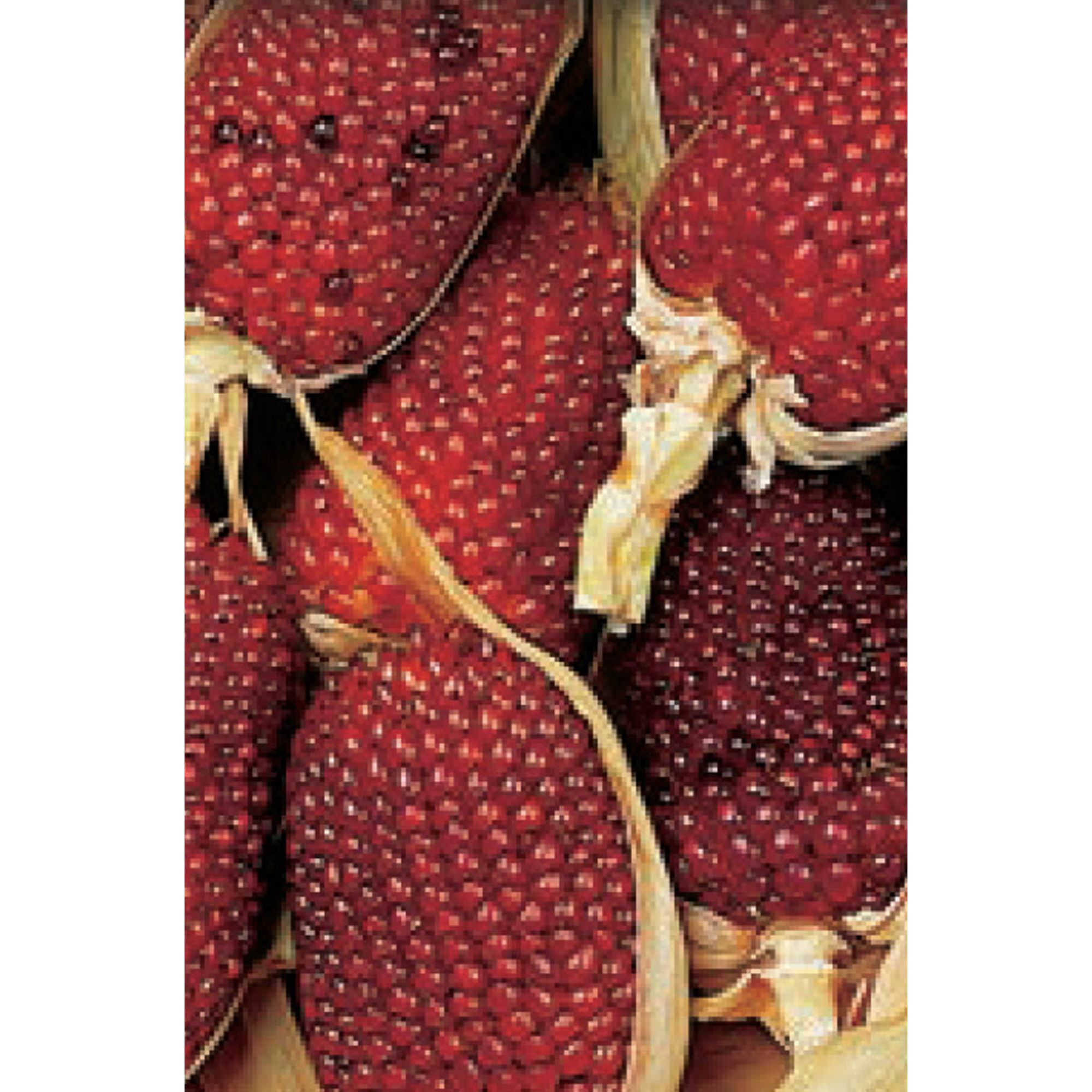 Seminte legume, porumb Strawberry Popcorn, Amia