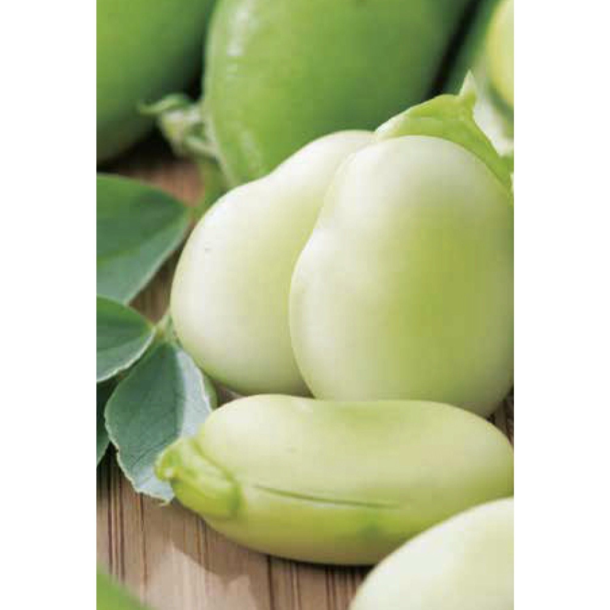 Seminte legume, bob Superaguadulce, Amia