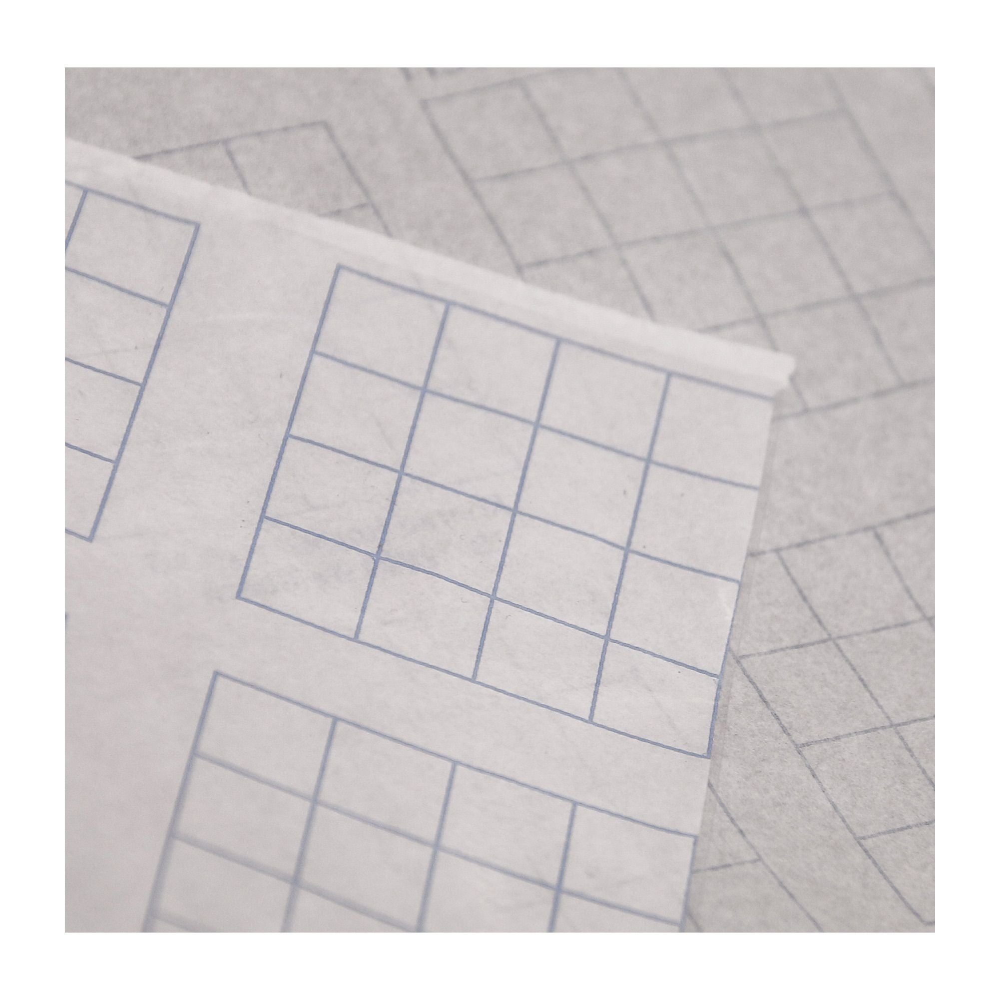 Musama transparenta 1.30 m