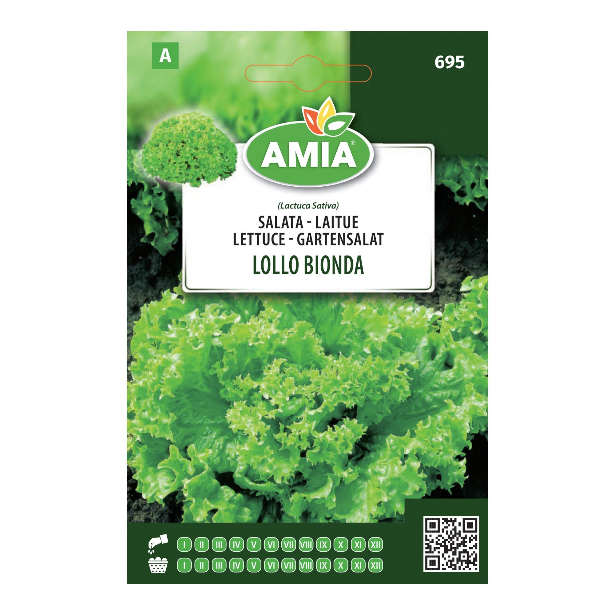Seminte legume, salata Lollo Bionda, Amia