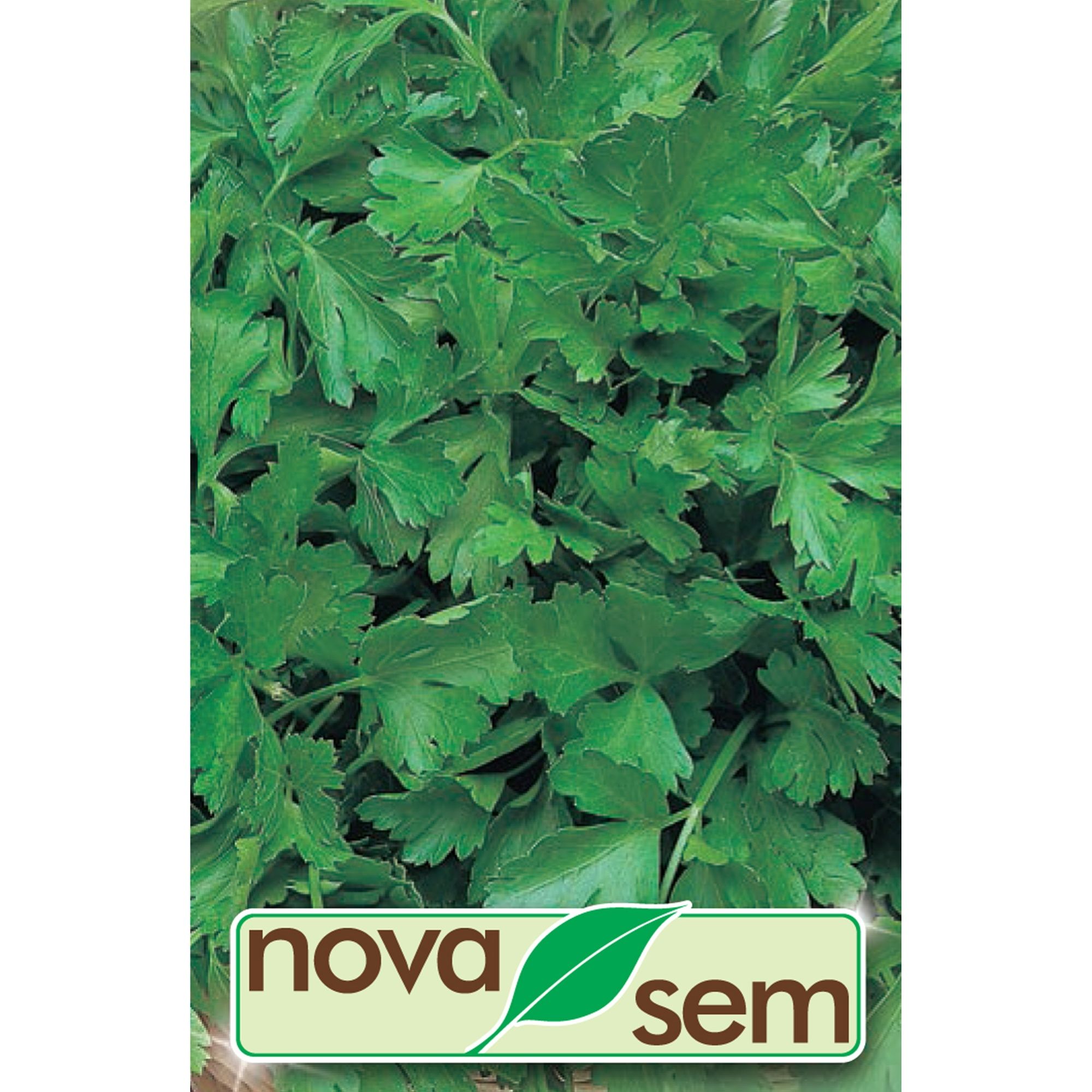 Seminte plante aromatice, patrunjel comun, Novasem