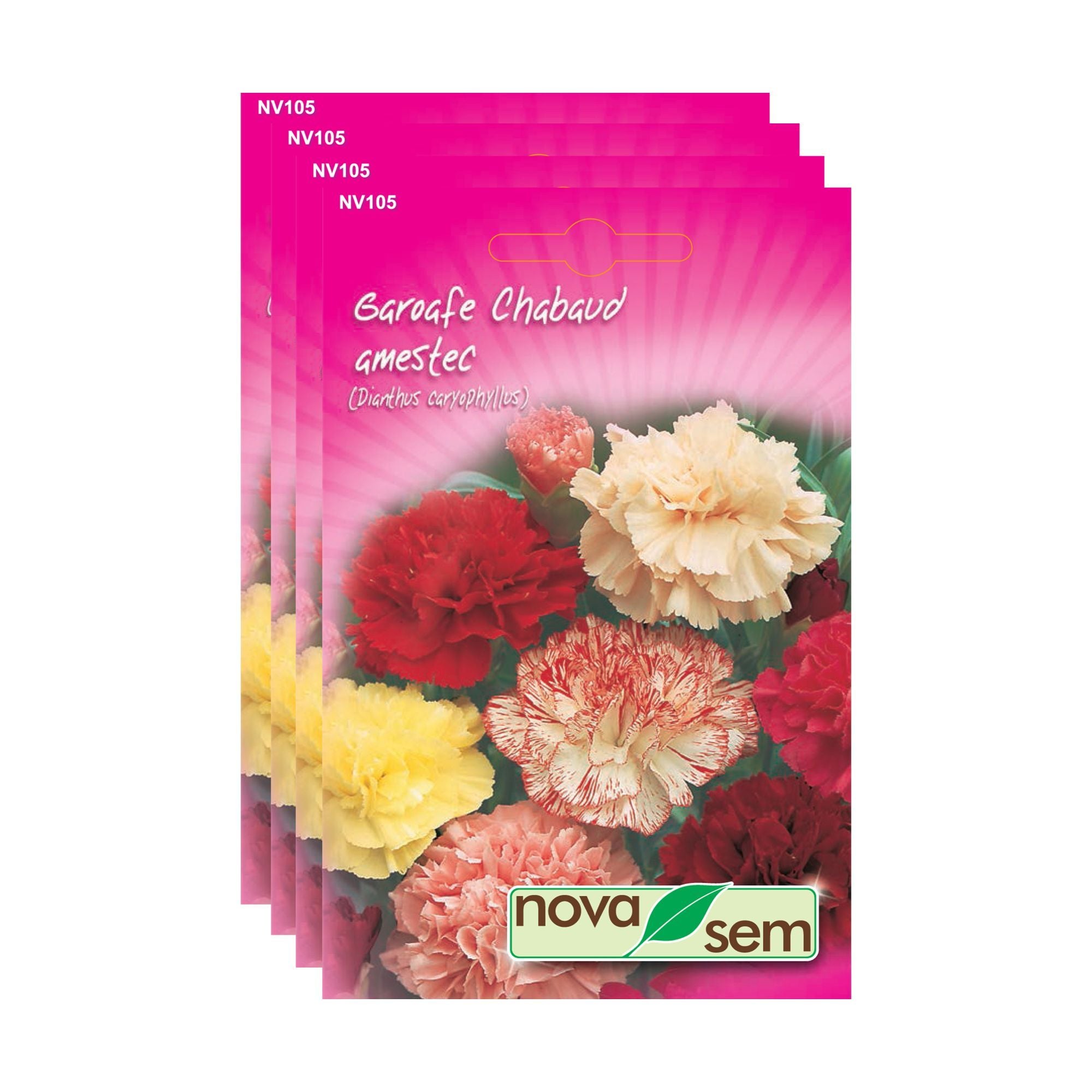 Seminte flori de primavara, Garoafe Chabaud, amestec culori, Novasem