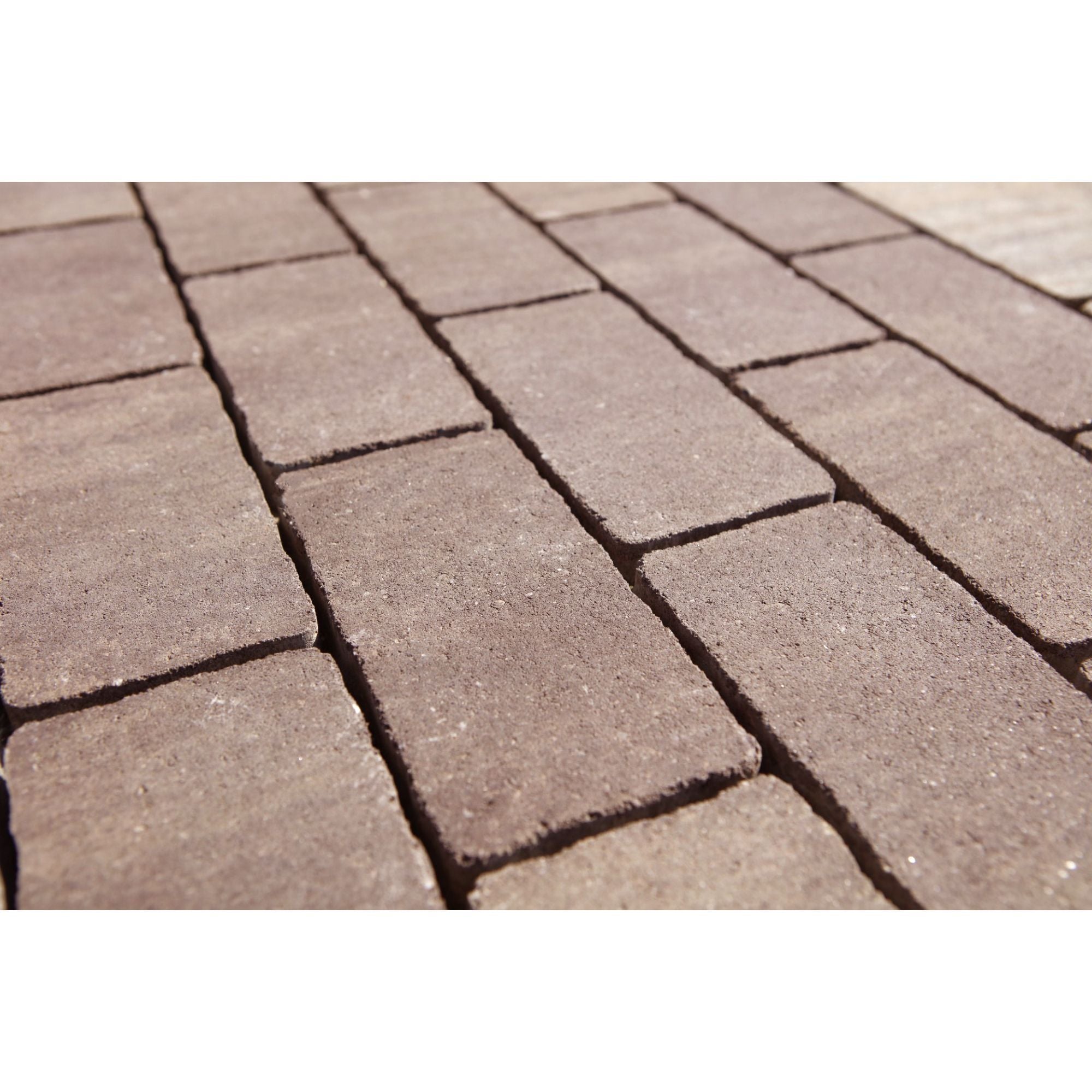 Pavaj beton Anima D2, 200 x 100 x 60 mm, maro patinat