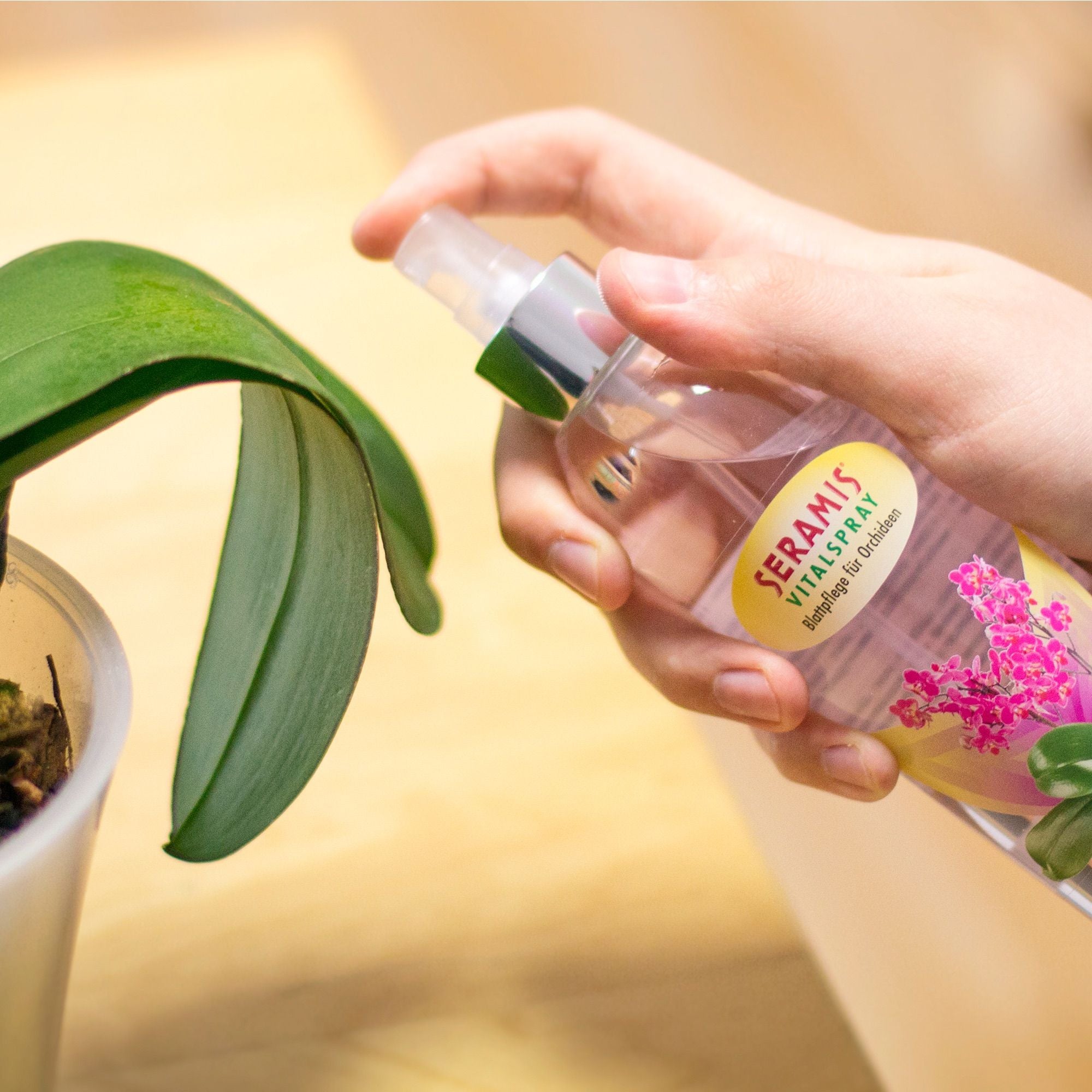 Ingrasamant orhidee Vitalspray, lichid, tip spray, 250 ml